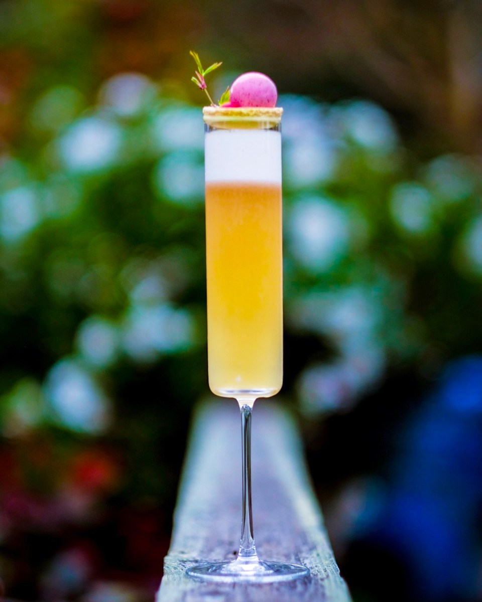 An Efflorescence of Spring – Shaker & Spoon Blog