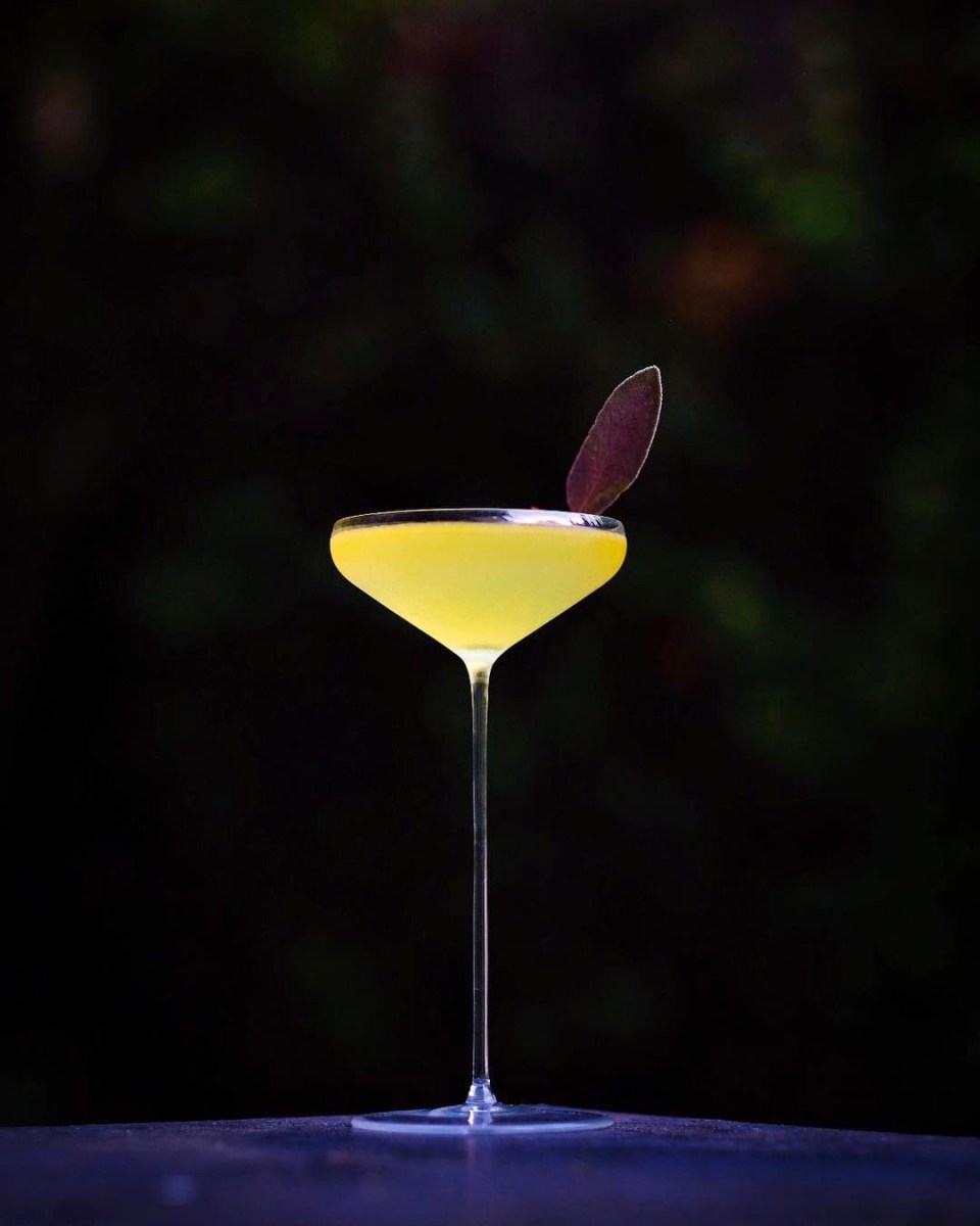 A Passage to Chandrapore – Shaker & Spoon Blog