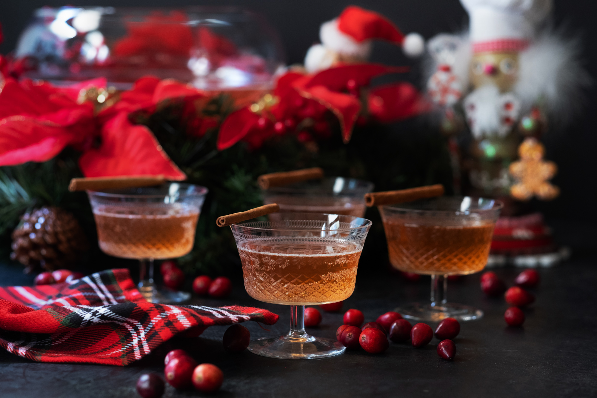 Party Punch: Bourbon & Bubbles – Shaker & Spoon Blog